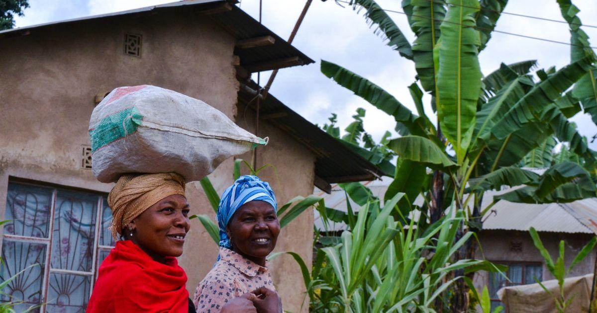 OeEB supports critical food supply in Africa through working capital ...