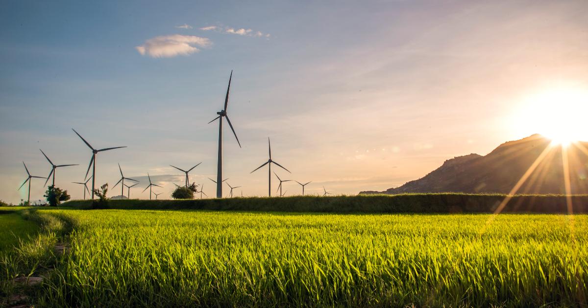 OeEB places even greater focus on climate financing and projects in ...